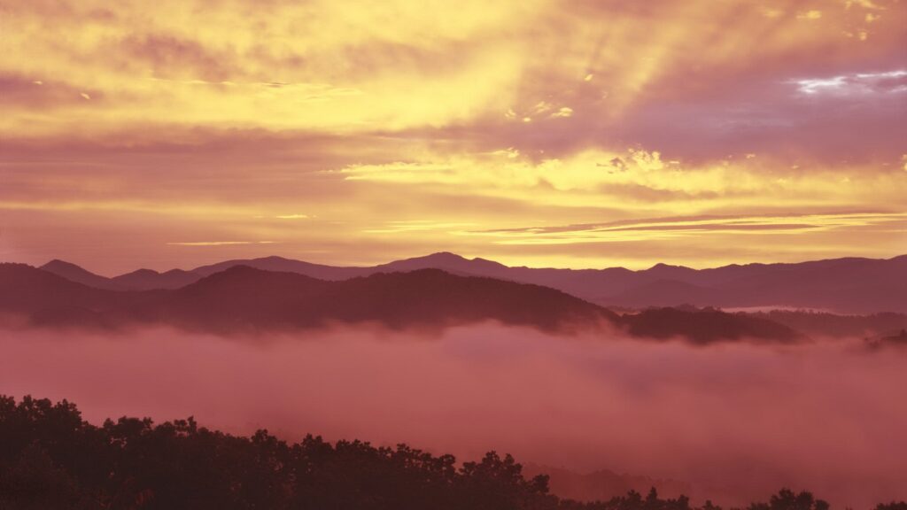TN-sunrise – Pennello Brush